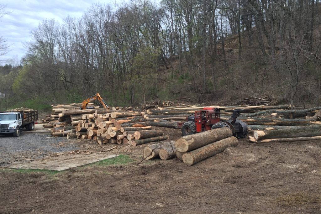 LOGGING – MK Logging and Lumber